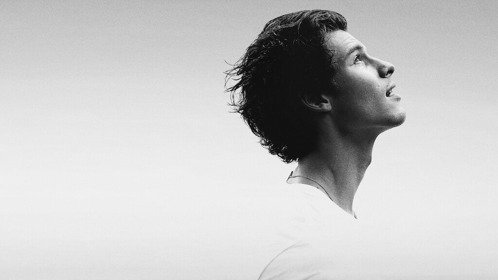 Watch Shawn Mendes: In Wonder | Netflix Official Site