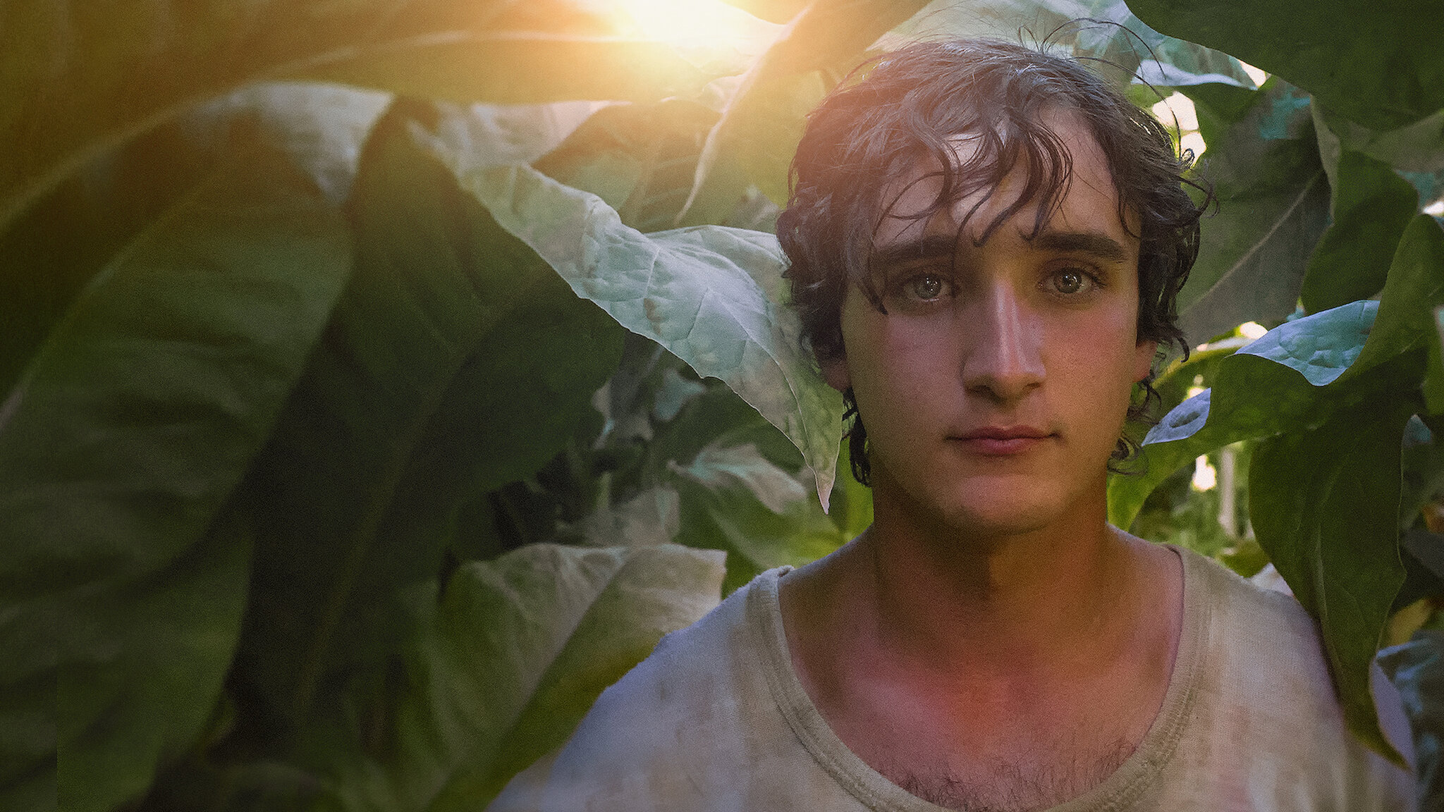 Watch Happy as Lazzaro | Netflix Official Site