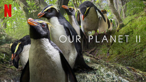 Watch Poisoned: The Dirty Truth About Your Food | Netflix Official Site