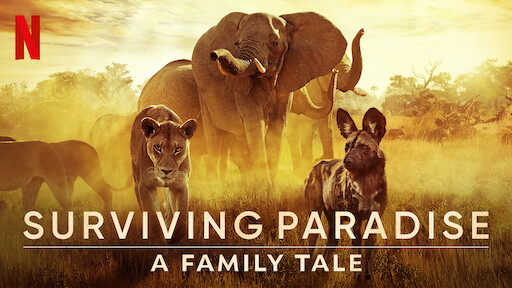 Watch The Ivory Game | Netflix Official Site