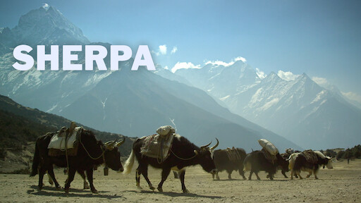 Watch Aftershock: Everest and the Nepal Earthquake | Netflix Official Site