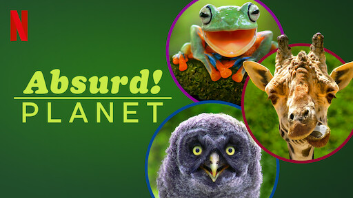 Watch Life on Our Planet | Netflix Official Site
