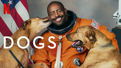 Watch The Hidden Lives of Pets | Netflix Official Site