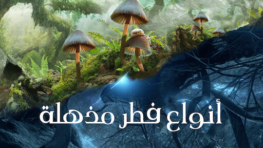 ‎The Ivory Game | موقع Netflix الرسمي