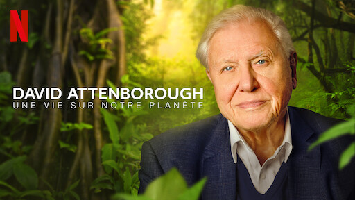 Watch Life in Color with David Attenborough | Netflix Official Site