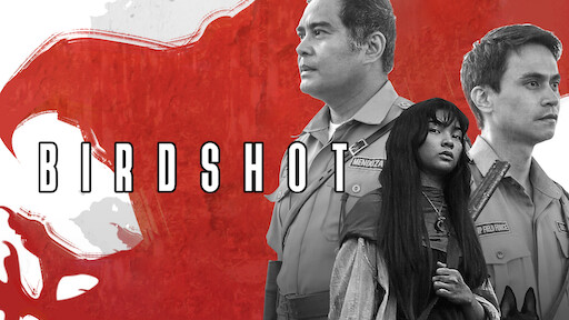 Watch The Girl and the Gun | Netflix