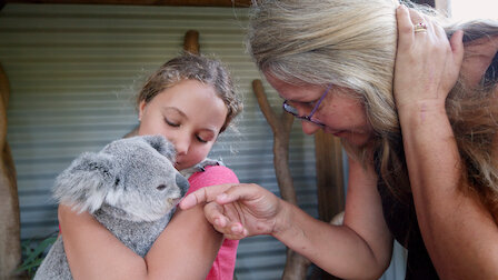 Watch Izzy's Koala World | Netflix Official Site
