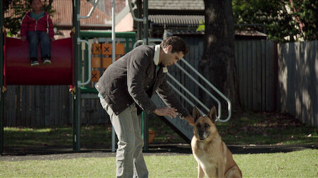 Watch Redfern Now | Netflix