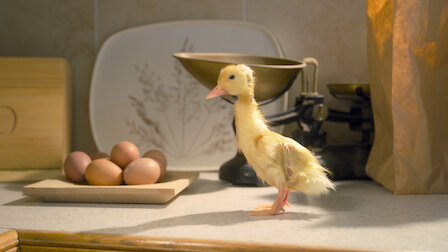 Watch Tiny Creatures | Netflix Official Site