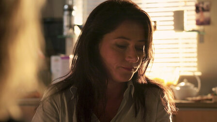 Watch Borgen | Netflix