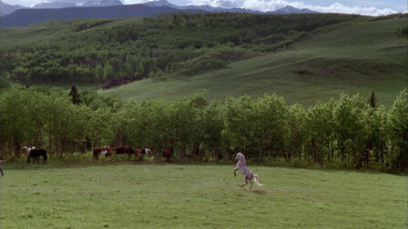 Watch Heartland | Netflix
