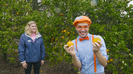 Watch Blippi | Netflix