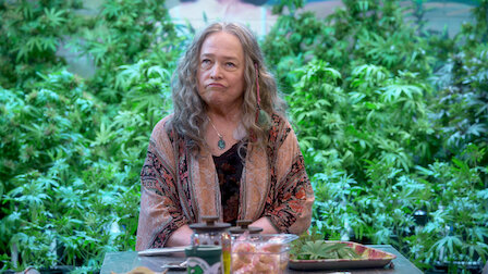 Watch Disjointed | Netflix Official Site