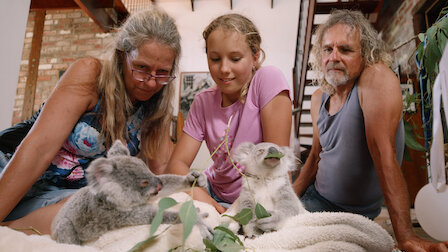 Watch Izzy's Koala World | Netflix Official Site