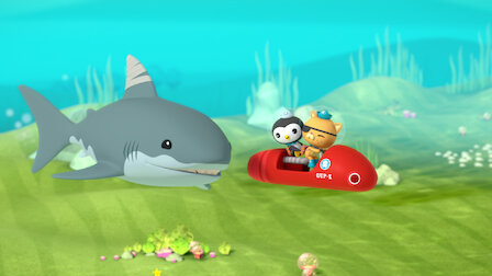 Les Octonauts | Netflix
