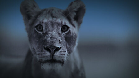 Watch Night on Earth | Netflix Official Site