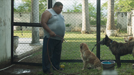 Lavaperros | Sitio oficial de Netflix