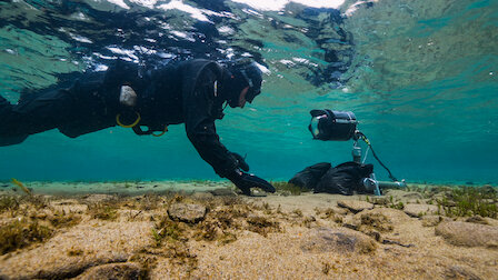 Watch Our Planet | Netflix Official Site