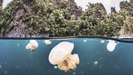 Watch Tales by Light | Netflix Official Site