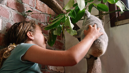 Watch Izzy's Koala World | Netflix Official Site