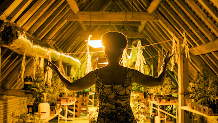 Watch Cuckoo | Netflix Official Site