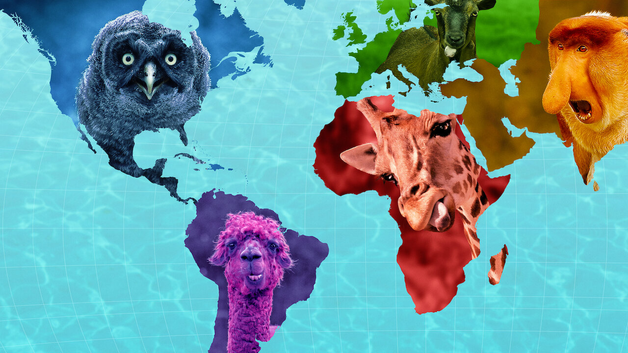 Watch Absurd Planet | Netflix Official Site