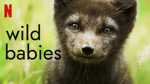 Only on Netflix | Netflix Official Site