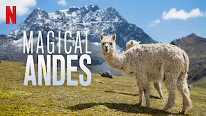 Latin American Movies & TV | Netflix Official Site