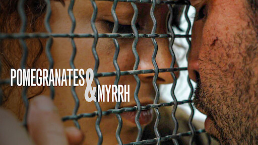 Watch Invisible | Netflix